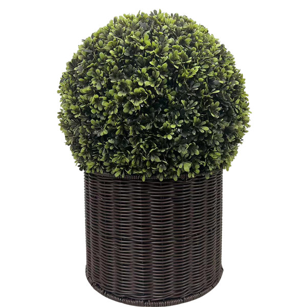 Primrue 20'' Faux Boxwood Topiary in Rattan Planter | Wayfair