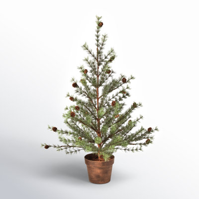 36" Potted Skip Pine Tree With Cone | Birch Lane