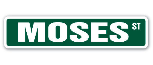 SignMission Moses Street Sign Heavy Duty Plastic 4" X 18" | Wayfair