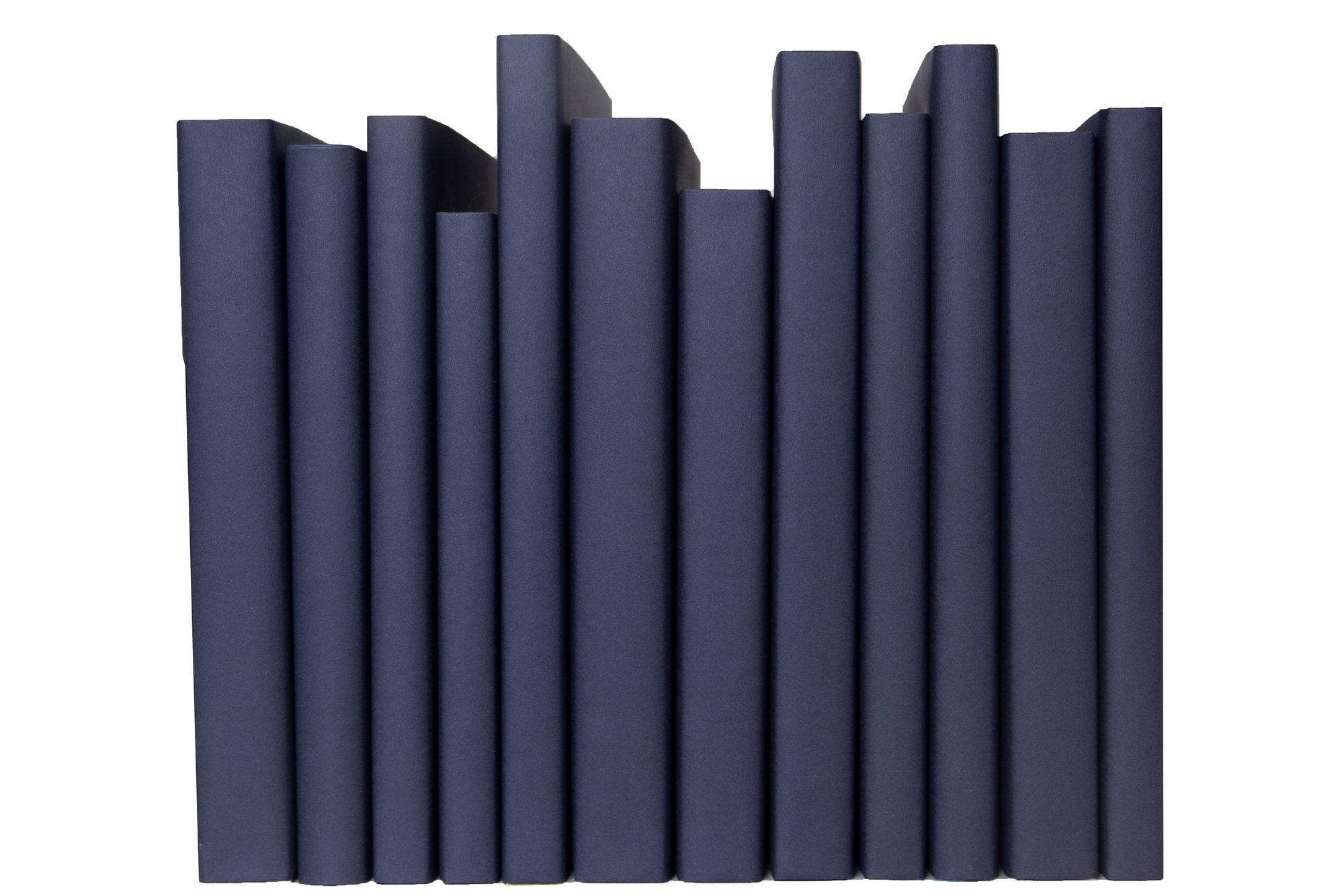 Latitude Run® Decorative Book | Wayfair