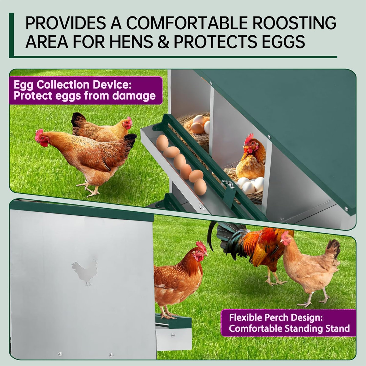 Tucker Murphy Pet™ Metal Chicken Nesting Boxes - Wayfair Canada