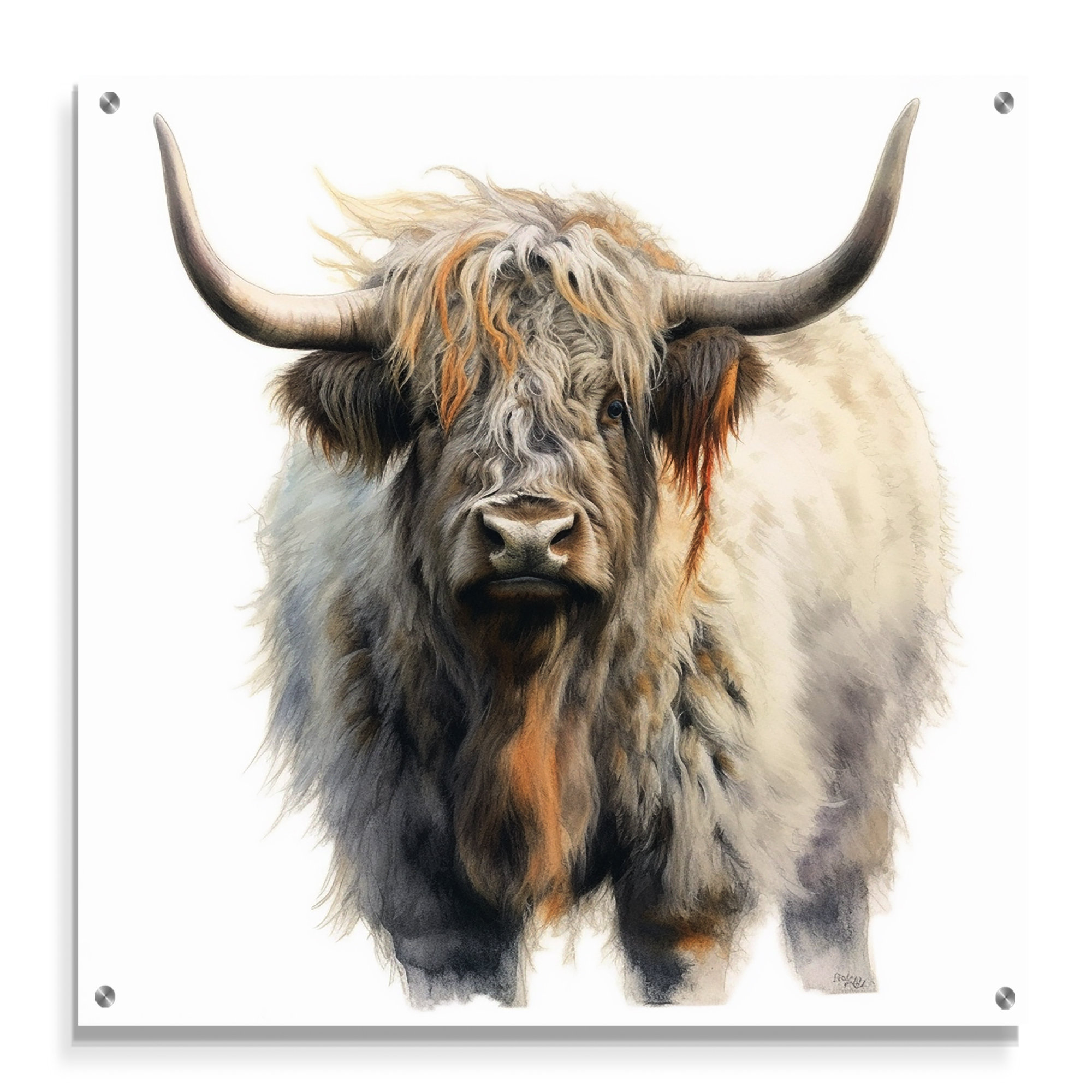 Union Rustic Wild Yak VI - Yaks Acrylic Wall Art For Living Room | Wayfair