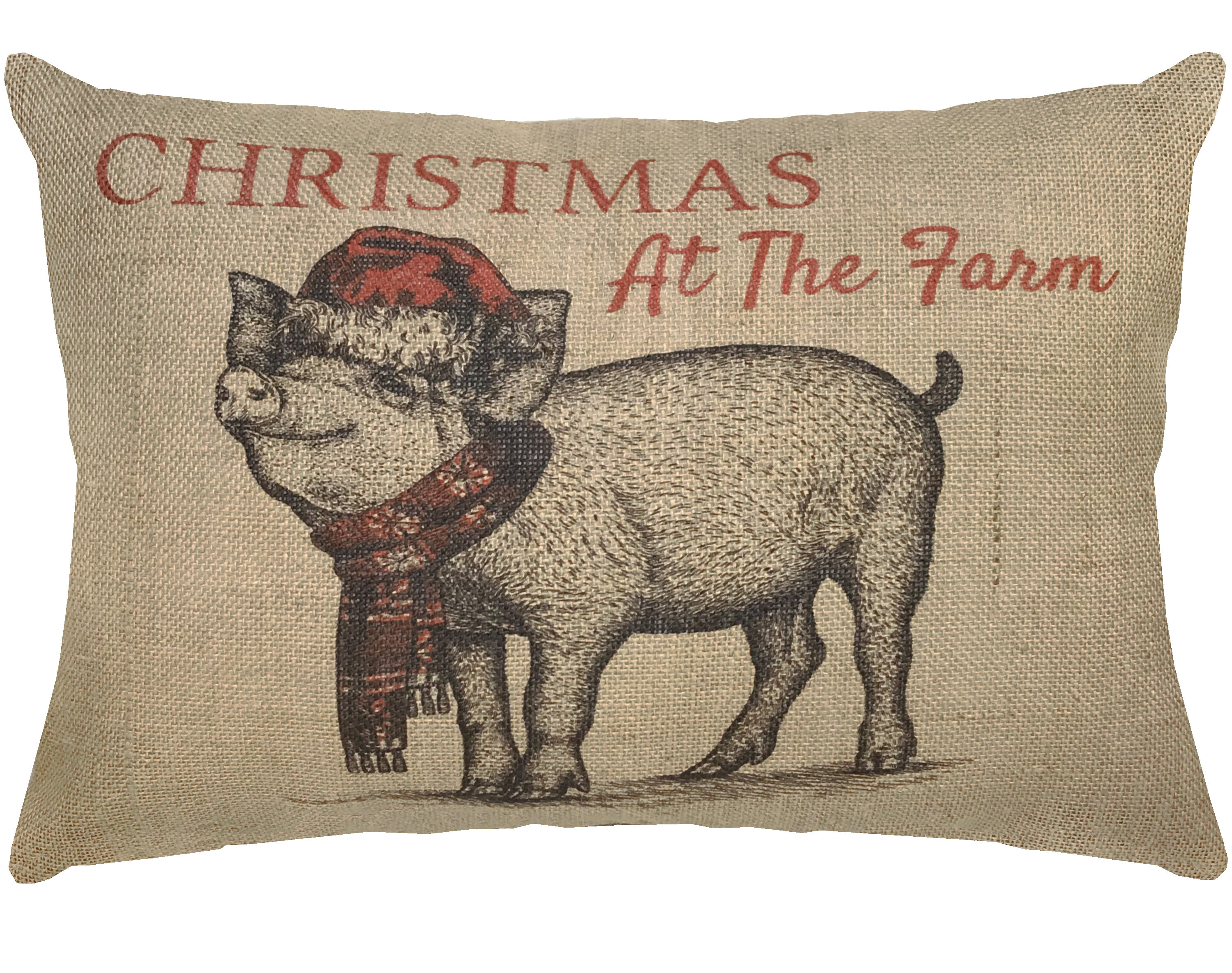 The Holiday Aisle® Buckhead Pig Lumbar Pillow | Wayfair