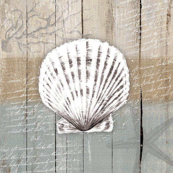 House of Hampton Calm Shell | Wayfair.co.uk