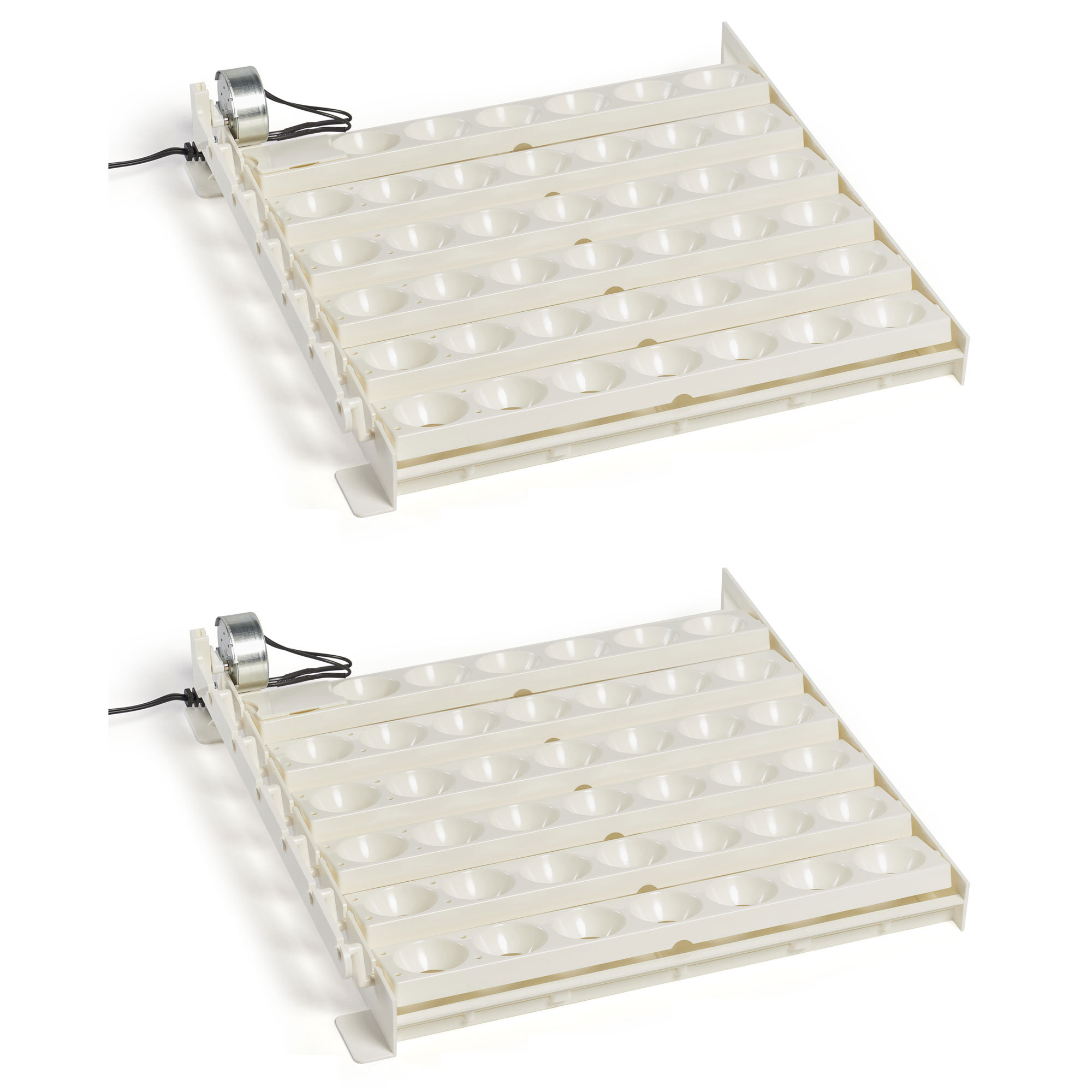 Farm Innovators 3200 Automatic 41 Spot Egg Turner for Improved Hatching ...