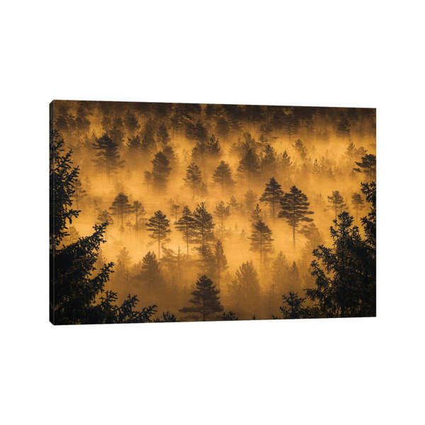 Alpen Home Dwarf Pines by Lauri Lohi - Wrapped Canvas Print | Wayfair.co.uk