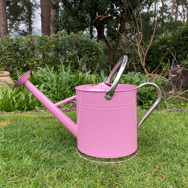Selections 9 Litre Watering Can | Wayfair.co.uk