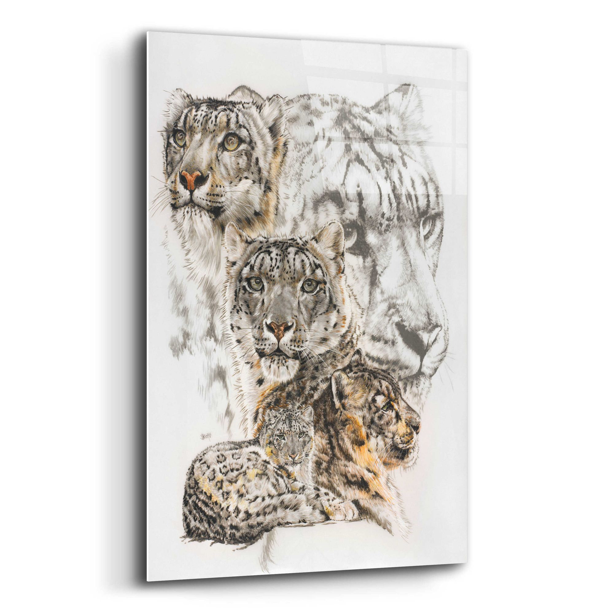 Winston Porter Snow Leopard And Ghost Image On Plastic / Acrylic by ...