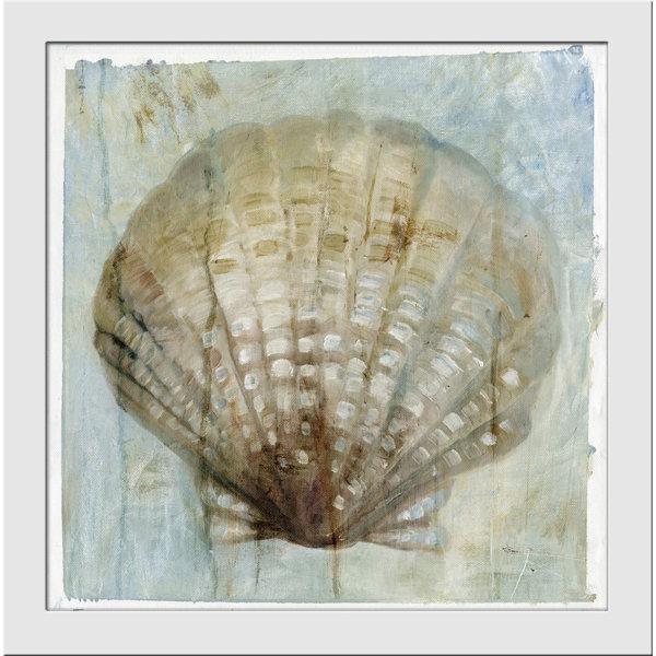Wendover Art Group Shell Dreams I - Picture Frame Painting - Wayfair Canada