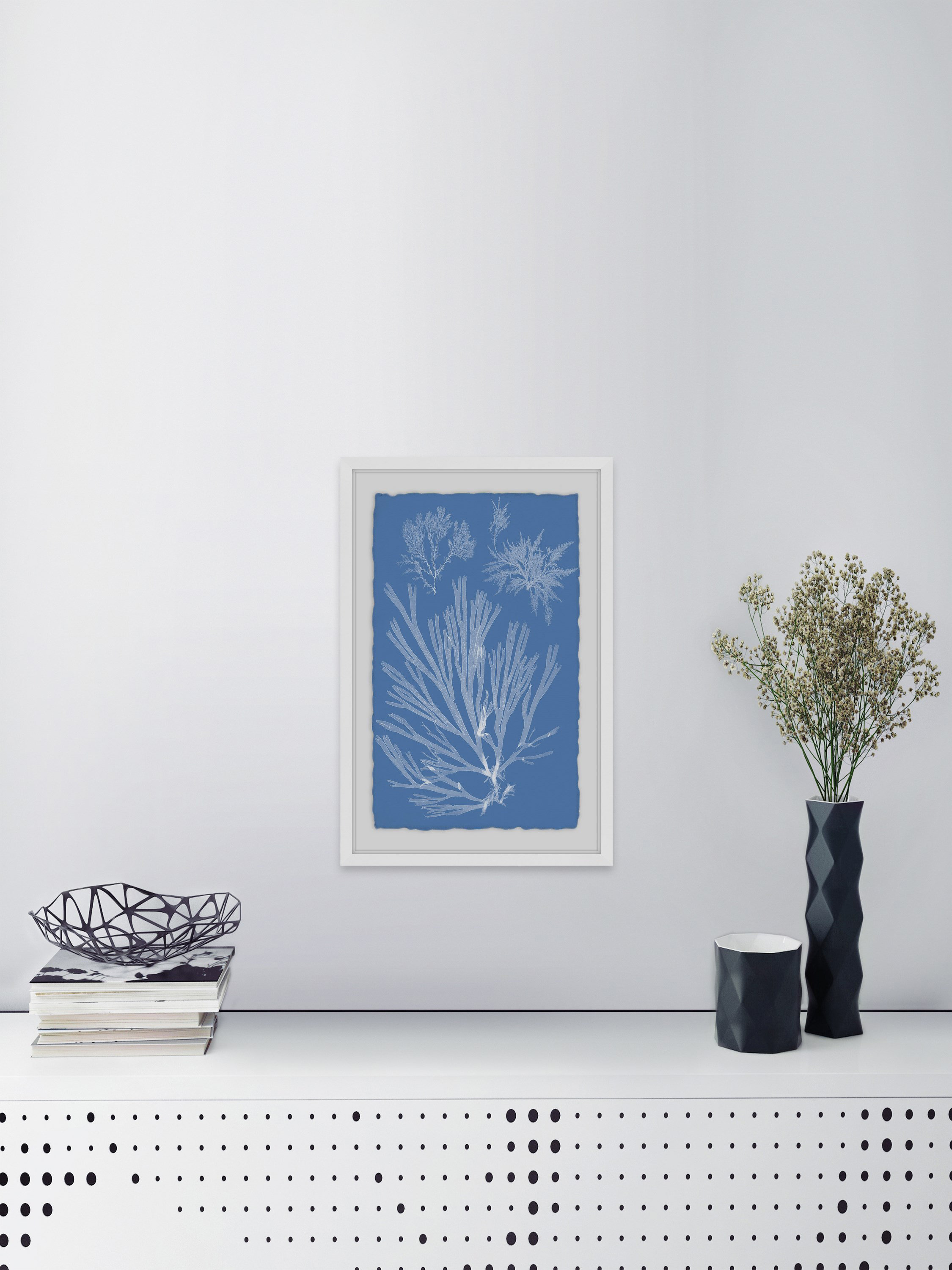 East Urban Home Seaweed Cyanotype III - Picture Frame Graphic Art Print ...
