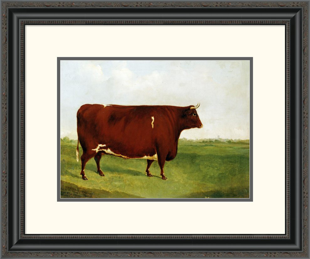 Global Gallery 'Twin Beast' by G. Sinclair Framed Painting Print | Wayfair