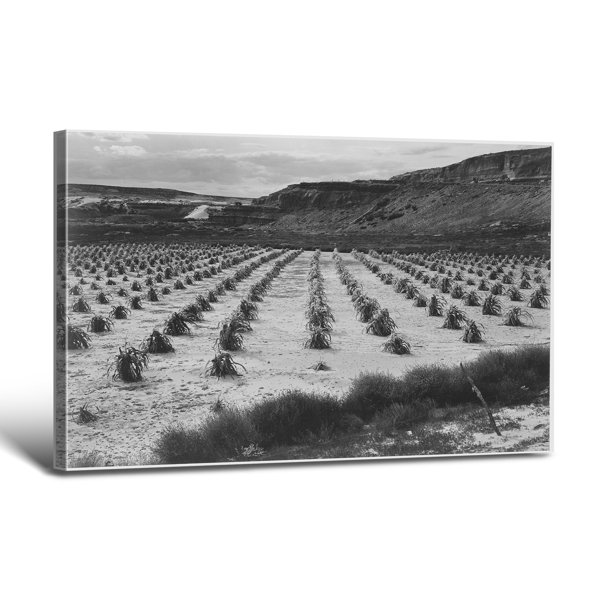Vault W Artwork Corn Field Indian Farm Near Tuba City On Canvas by ...