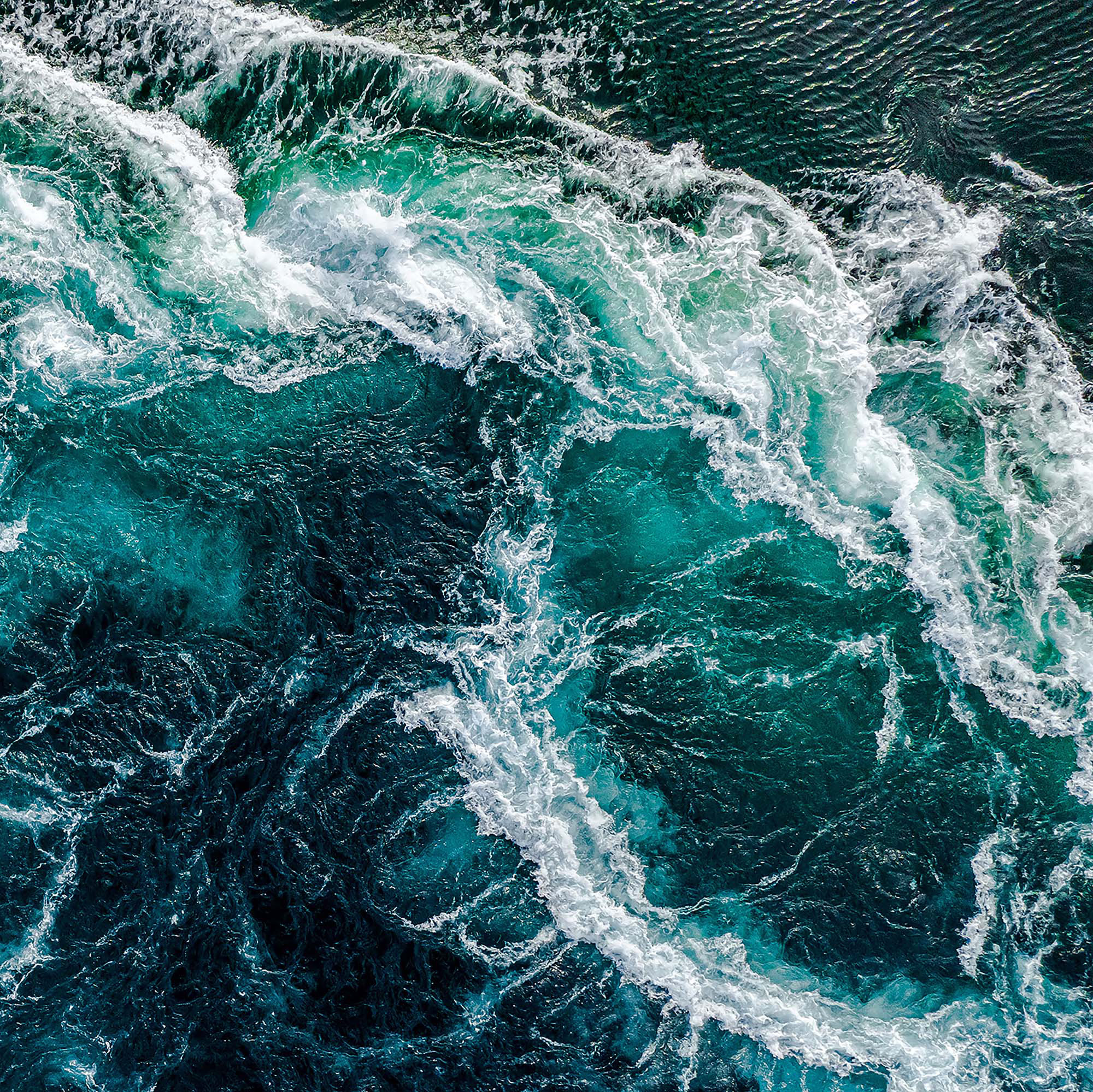 Yoffi The Deep End 4 by Yaffa G - Wrapped Canvas Graphic Art | Wayfair