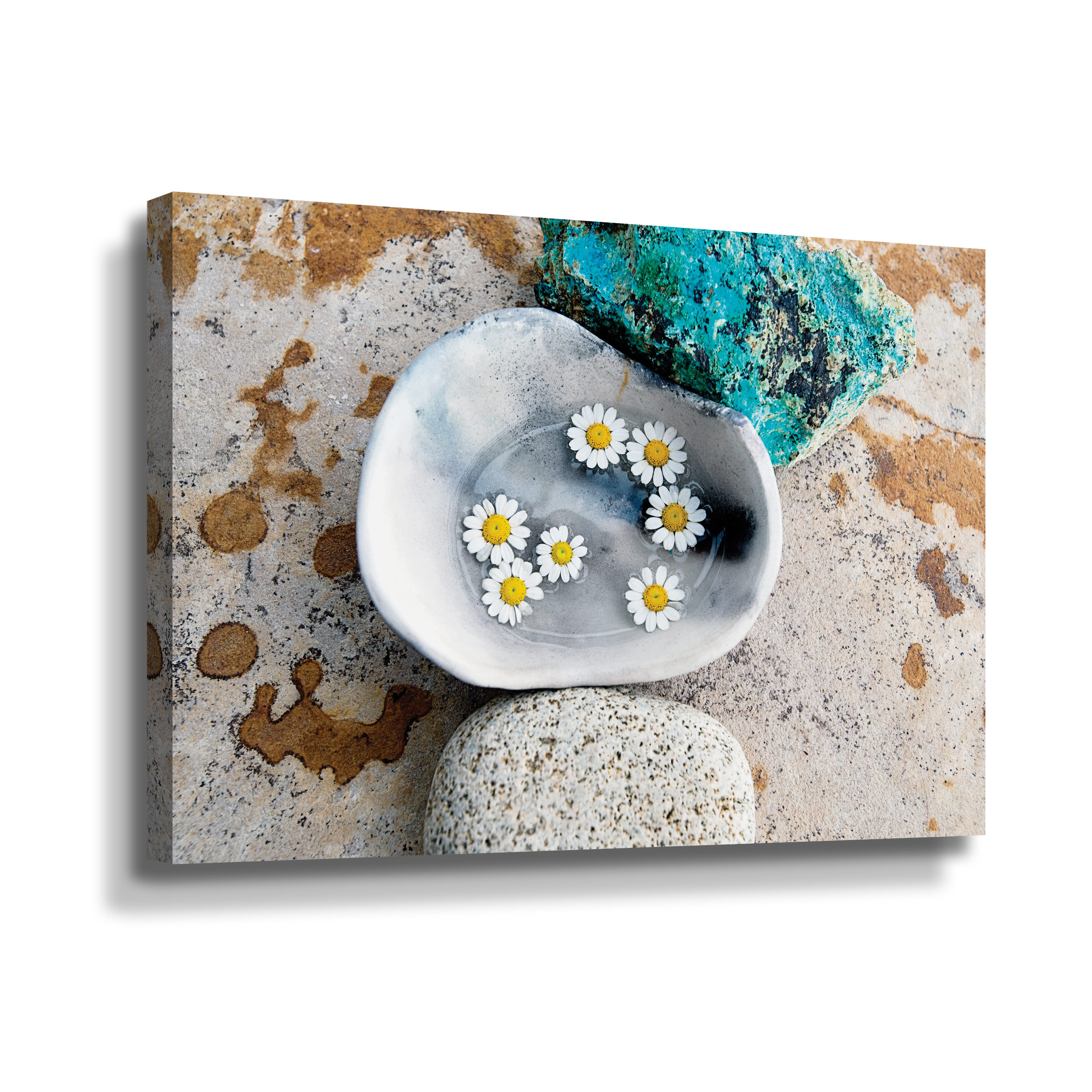 Latitude Run® Floating Daisy Spa - Photograph on Canvas | Wayfair