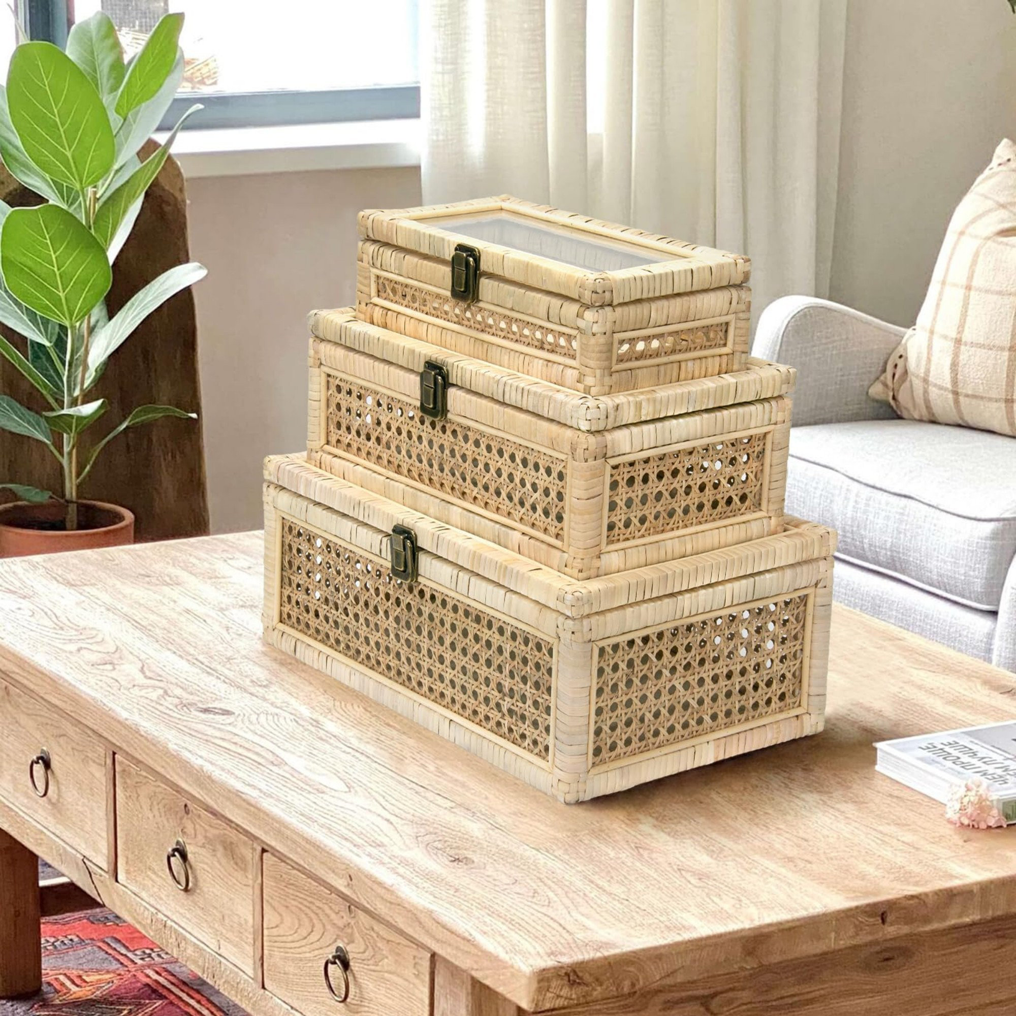 Bayou Breeze Set Of 3 Rattan Display Boxes With Glass Lids For ...