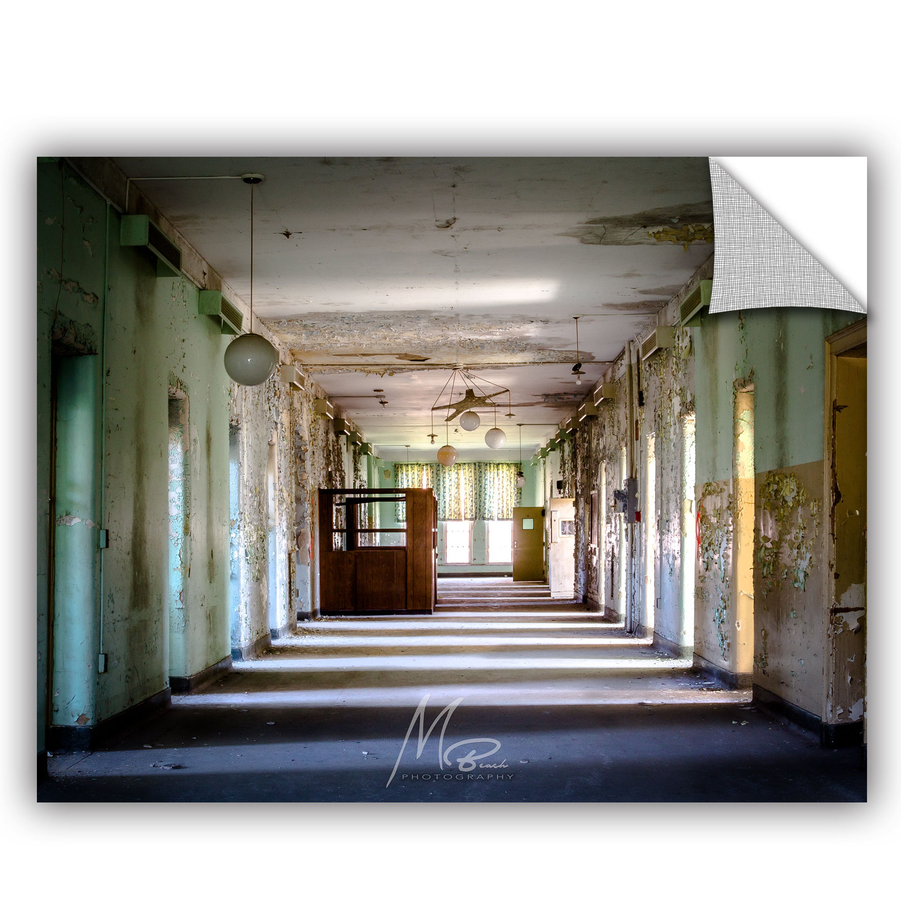 Ebern Designs Michael Beach Abandoned Lunatic Asylum 1 Removable Wall ...