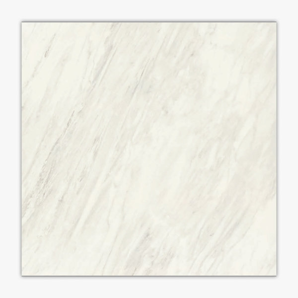 Direct Stone Source 24" x 24" Porcelain Marble Look Wall & Floor Tile ...