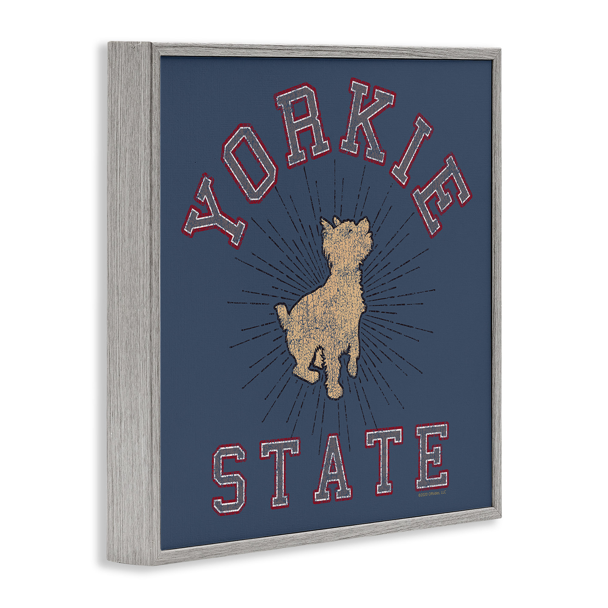 Ebern Designs Varsity Yorkie State Giclee Art by Spirit Animals/Life Is ...