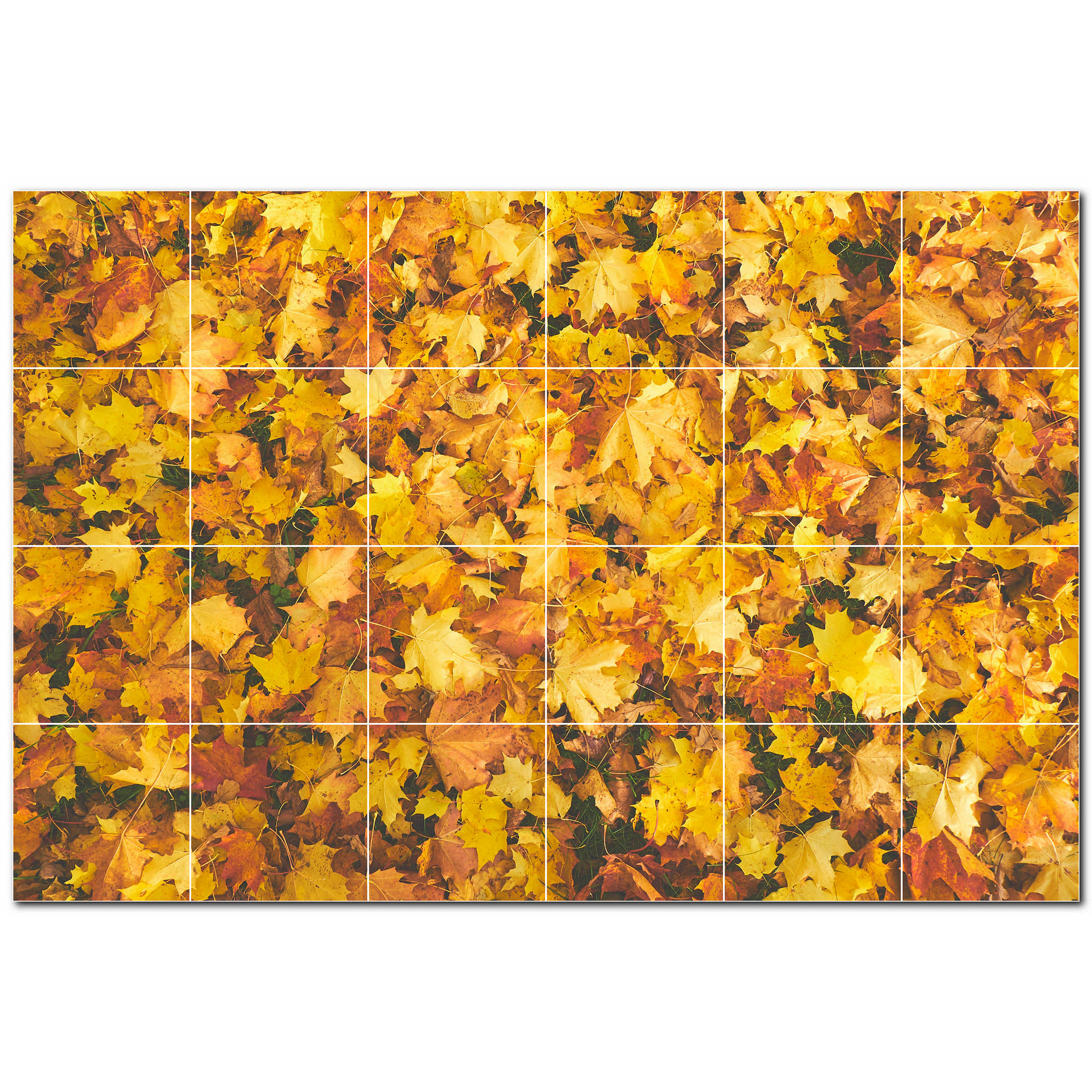 Picture-Tiles.com Autumn Photo 6'' x 6'' Satin Ceramic Decorative Mural ...