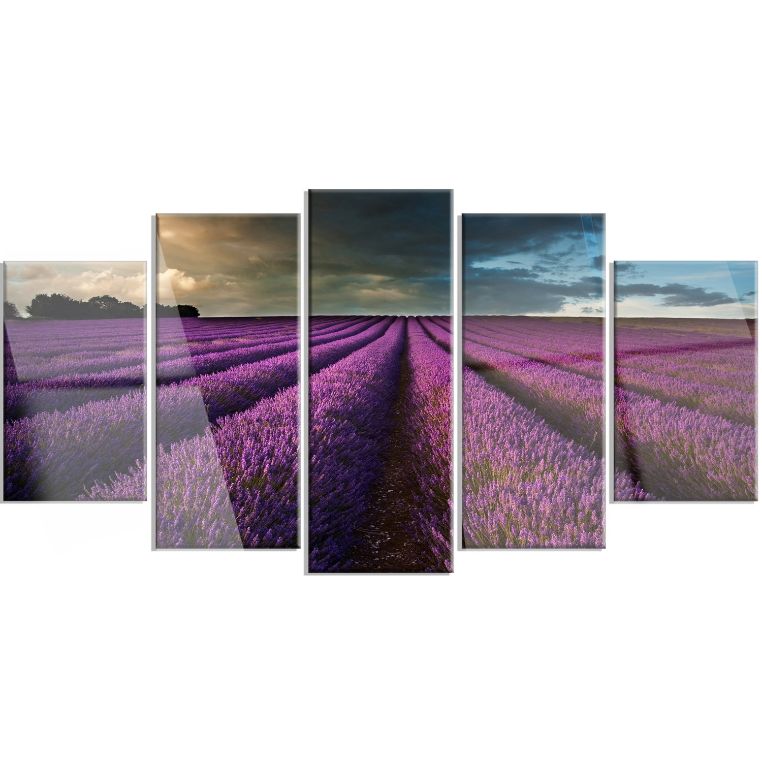 DesignArt Lavender Field And Dramatic Sky On Canvas 5 Pieces Photograph ...