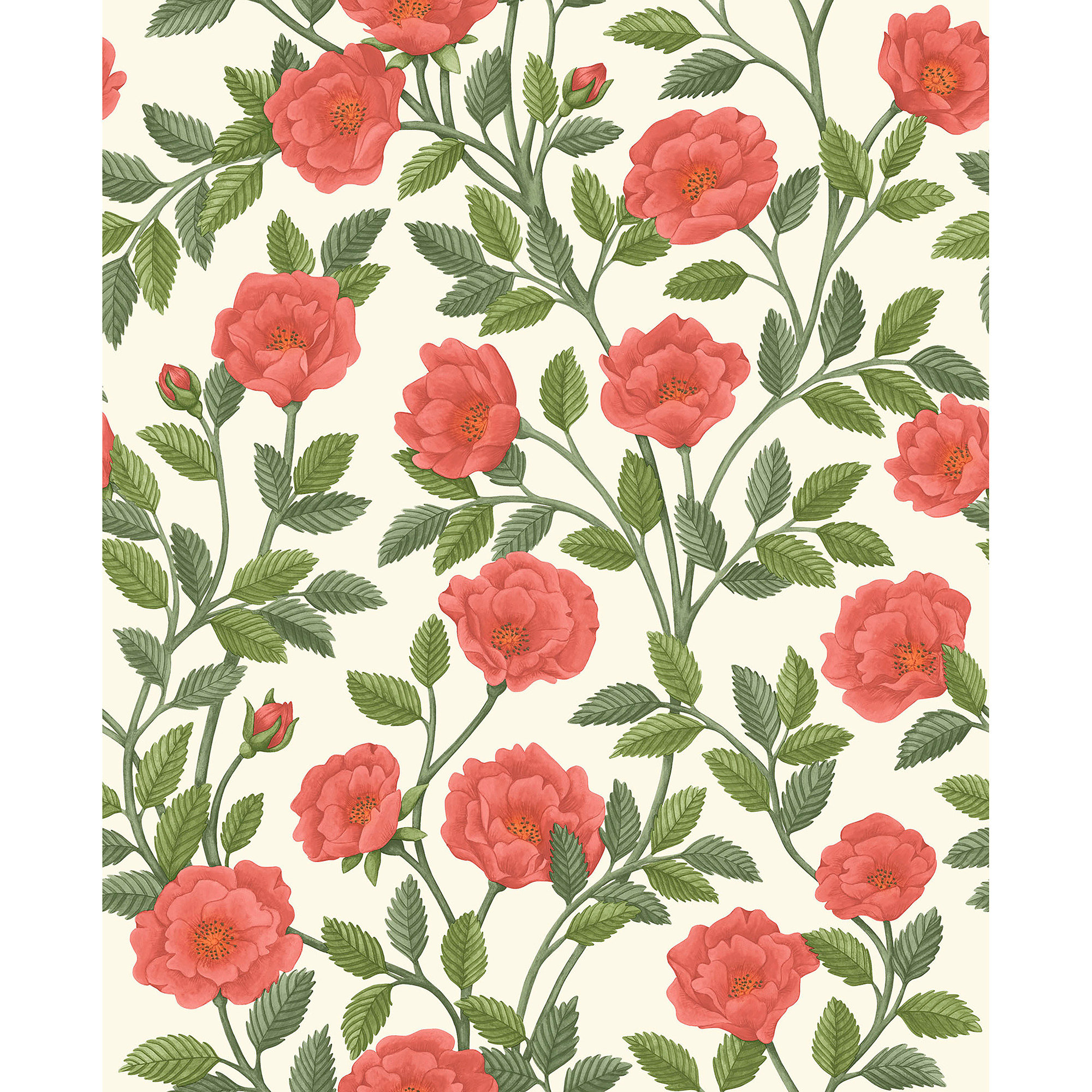 Cole & Sons Hampton Roses 33' L x 20.5" W Wallpaper Roll | Perigold