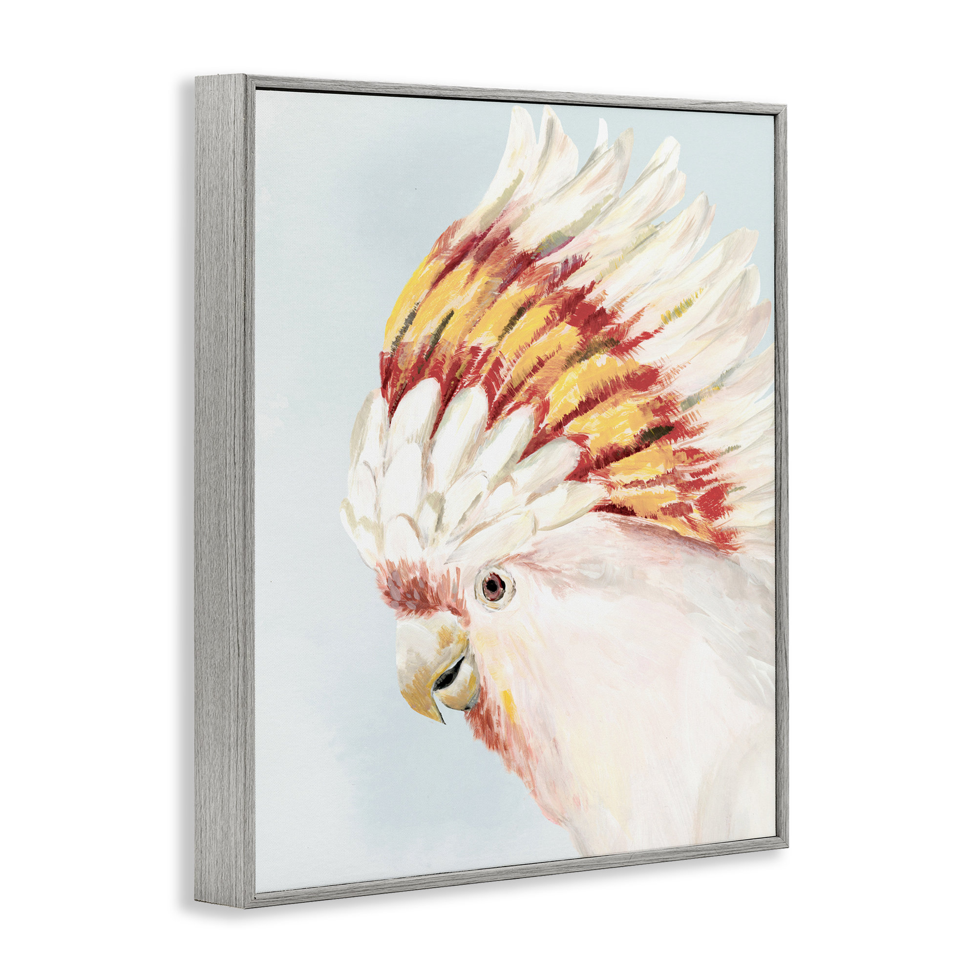 Hokku Designs Vivid Plumage Cockatoo Framed Giclee, design by Hannah ...