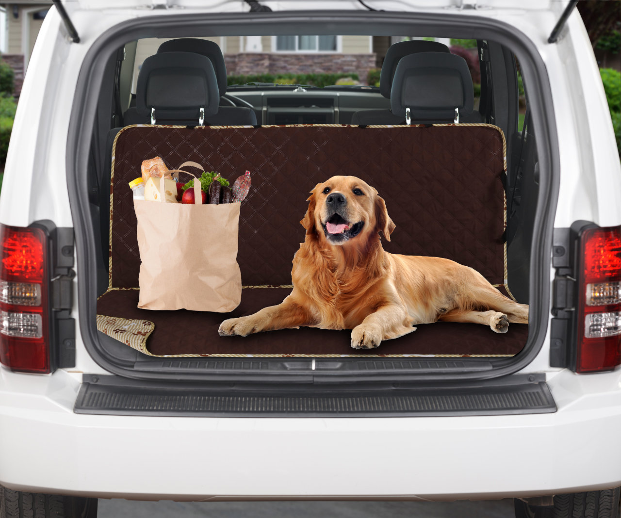 Tucker Murphy Pet™ Dual Purpose Back Mat | Wayfair