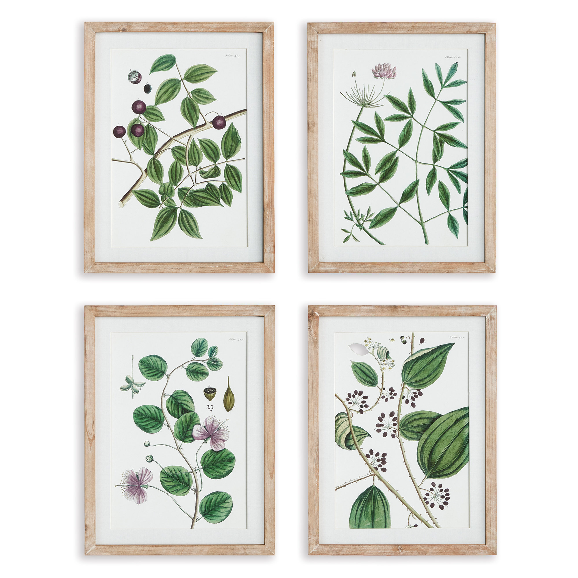 Sand & Stable™ Violeta Verdant Branch - 4 Piece Picture Frame Graphic ...