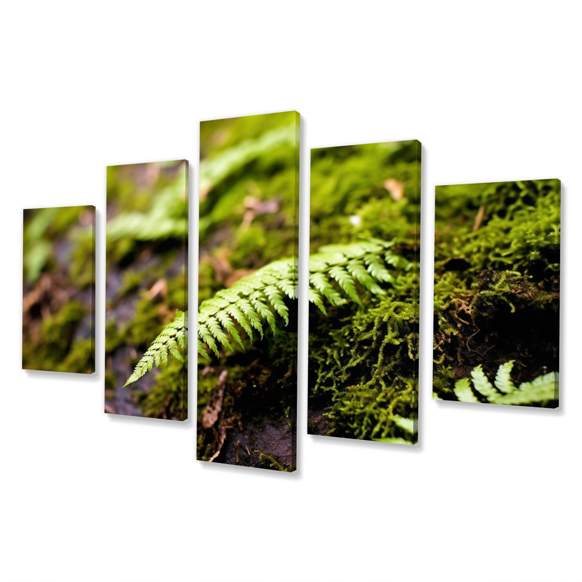 Bay Isle Home™ Green Fern Scenery III - Floral Canvas Wall Art - 5 ...