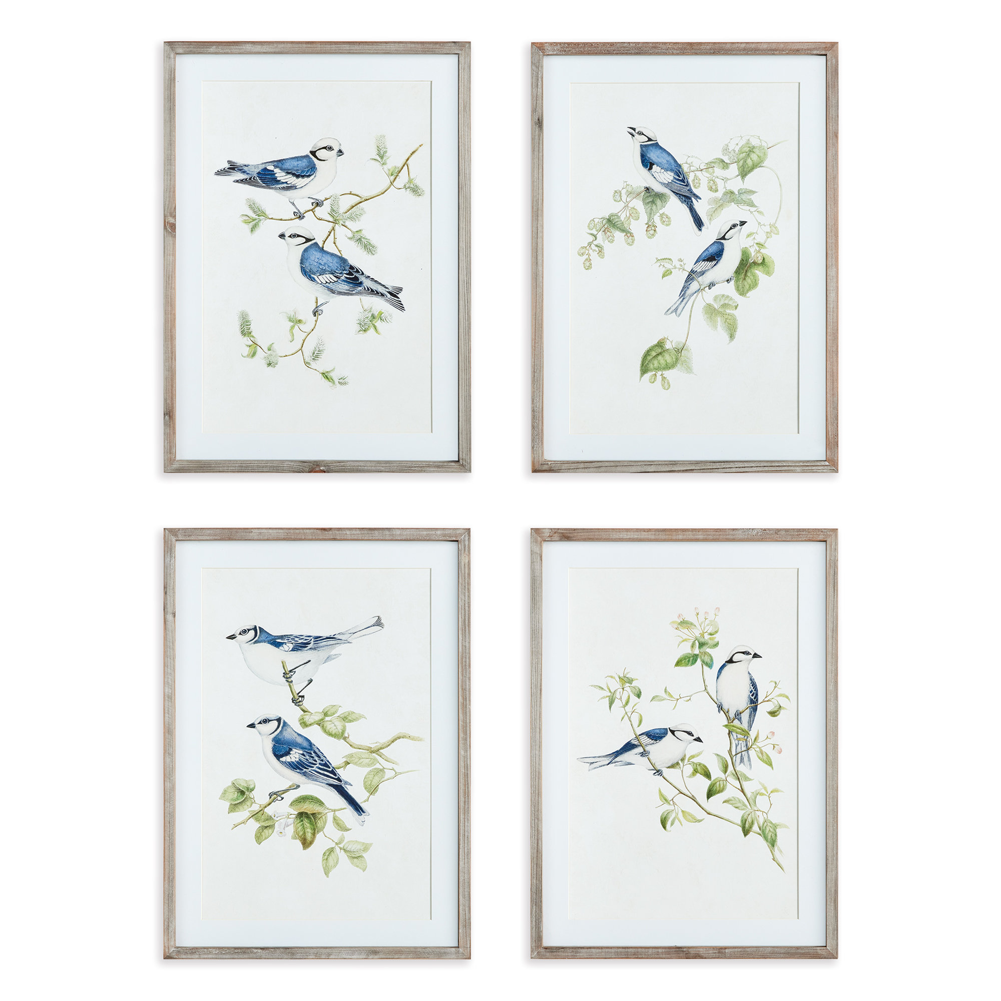 Lark Manor™ Saltillo Blue Birds - 4 Piece Picture Frame Graphic Art Set ...