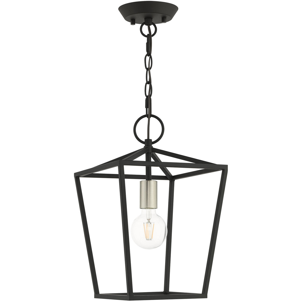 Lighting Lumens 10 Sq. inch 1 Light Convertible Lantern Pendant ...