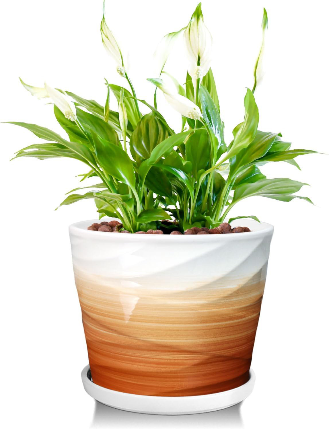 Latitude Run® 8" Ceramic Plant Pot With Drainage & Saucer | Wayfair