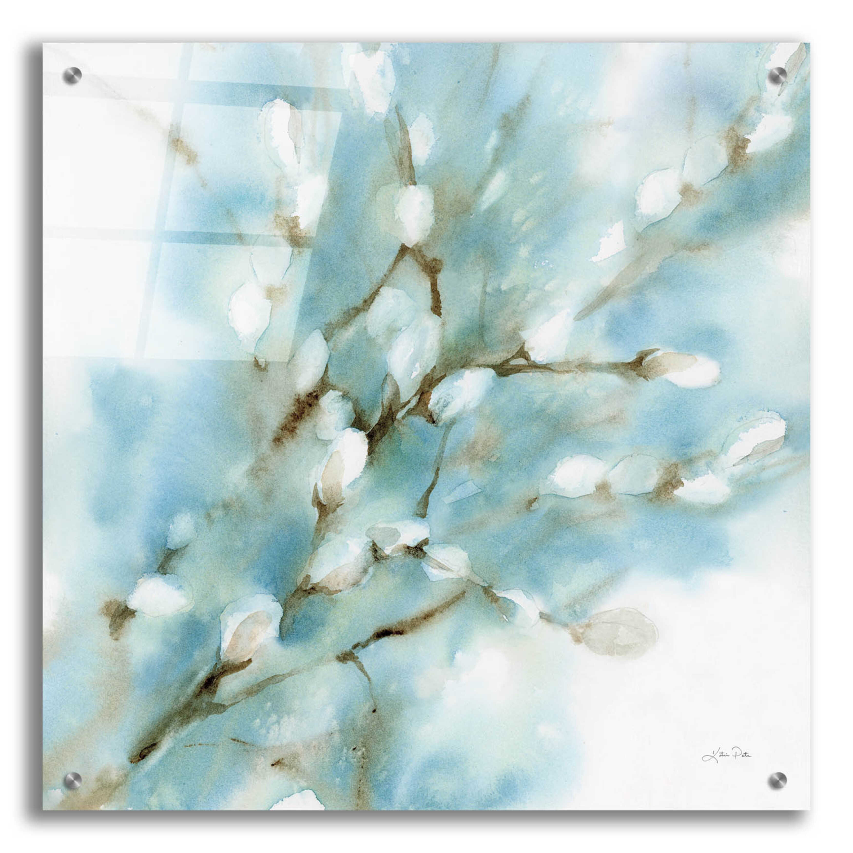 Red Barrel Studio® Pussy Willows Square On Plastic / Acrylic by Katrina ...