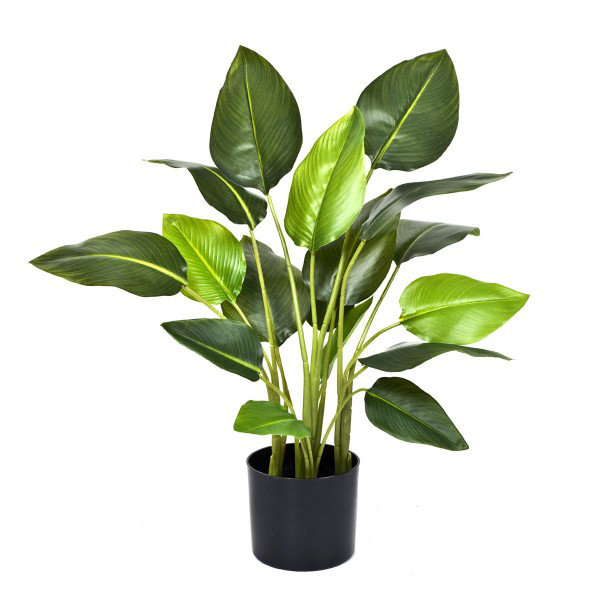 The Seasonal Aisle GreenBrokers Artificial Real Touch Bird of Paradise ...