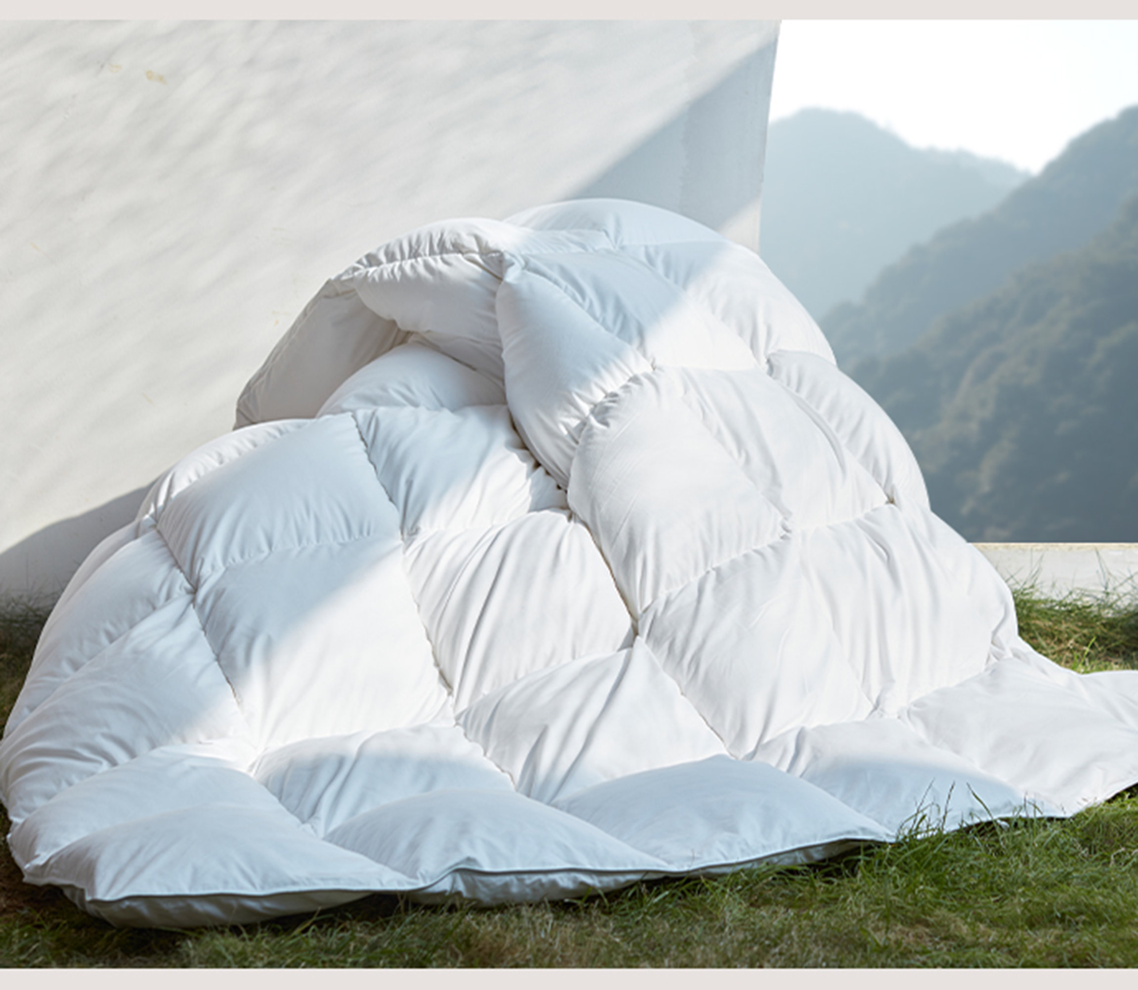 ValenciaLuxe All Season Down Feather Comforter 100% Organic Cotton ...