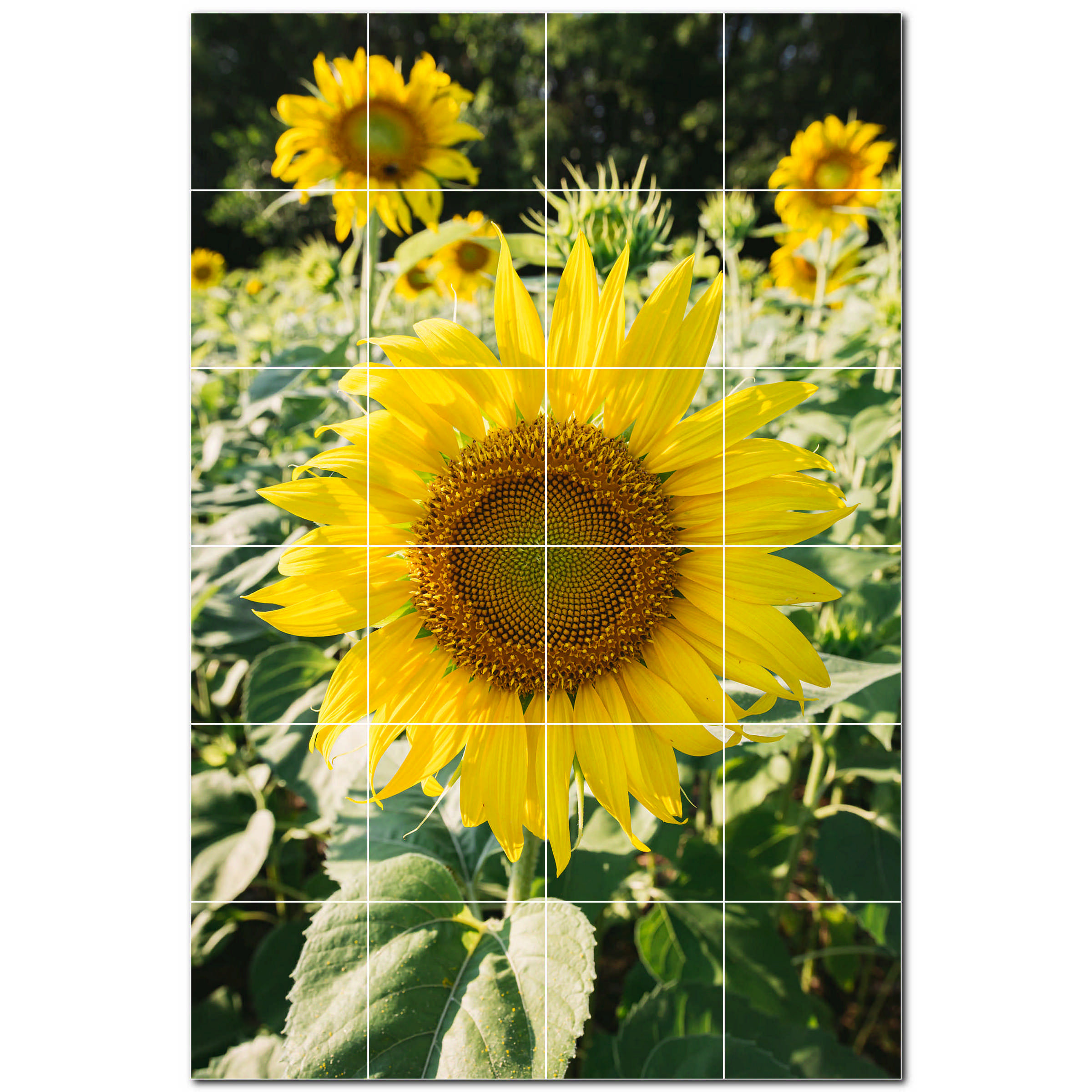 Picture-Tiles.com 48" x 32" Ceramic Farm Photo Decorative Mural Tile ...