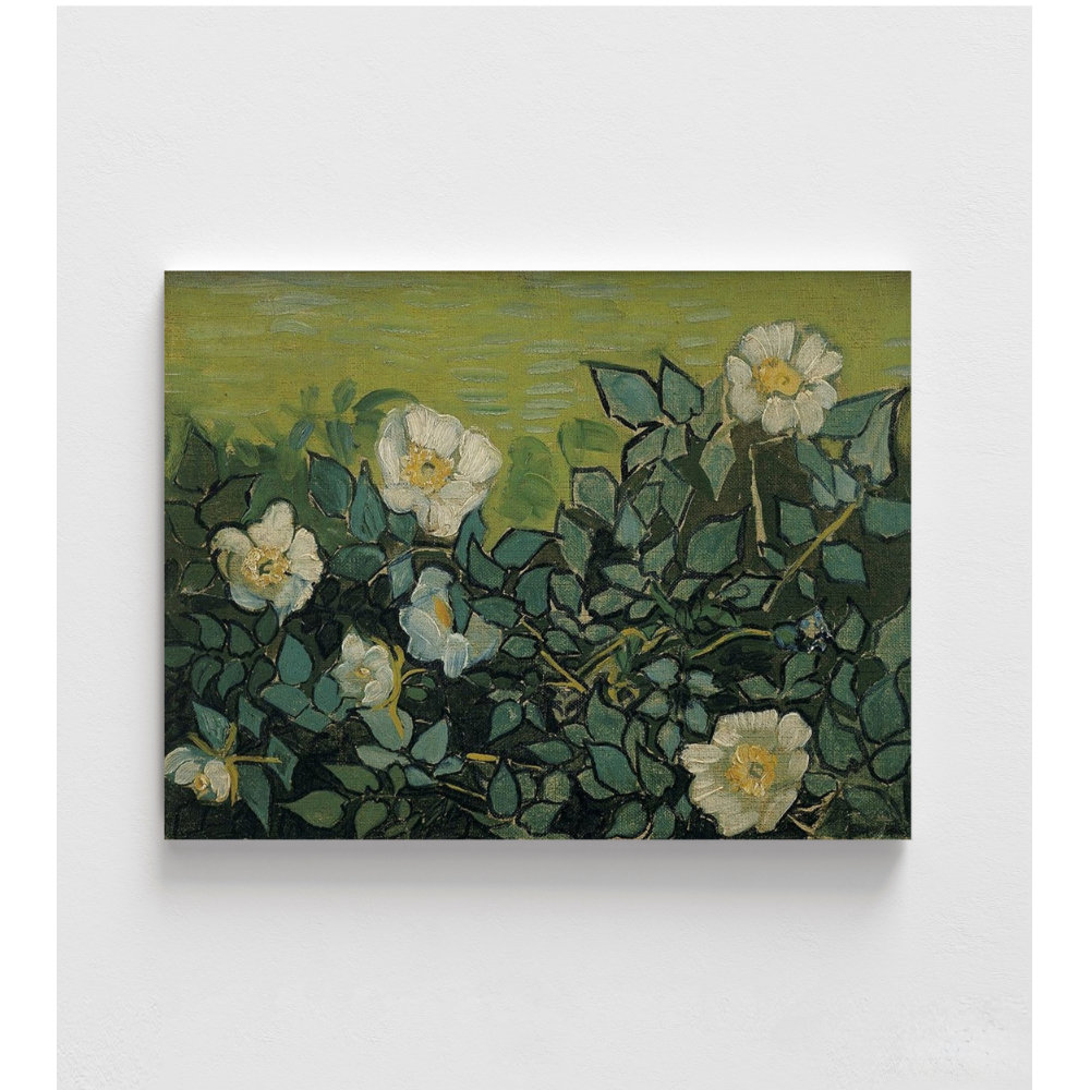 WeFrameArt Wild Roses By Vincent Van Gogh, White Rose Wall Art, Van ...