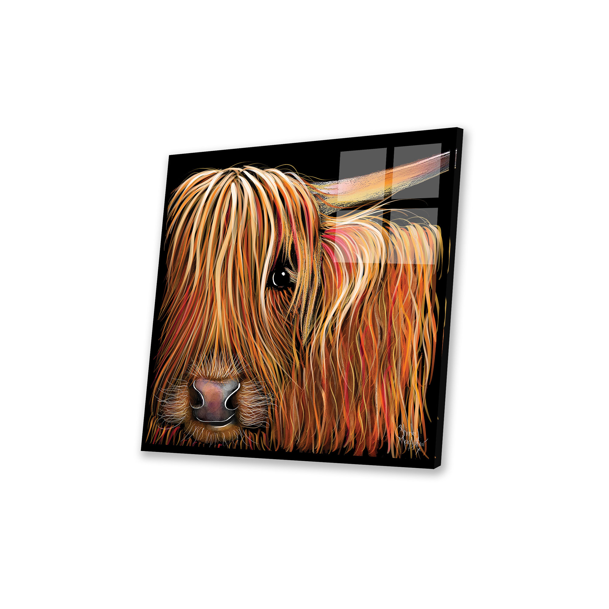 Union Rustic Butternut Print On Acrylic Glass - Wayfair Canada