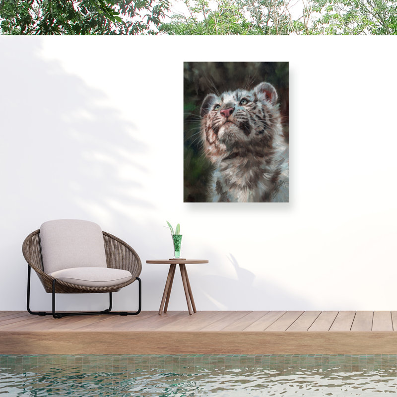 Winston Porter David Stribbling White Tiger Cub Portrait Outdoor Canvas ...
