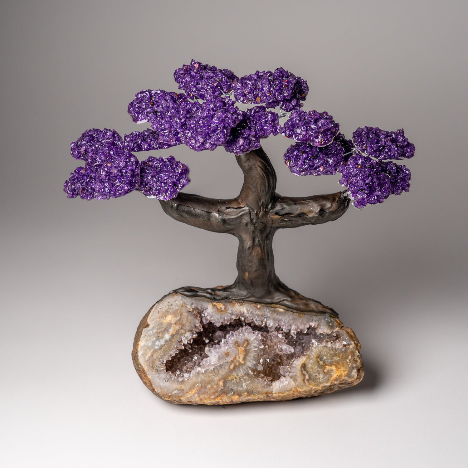 Astro Gallery of Gems Custom - Genuine Amethyst Clustered Gemstone Tree ...