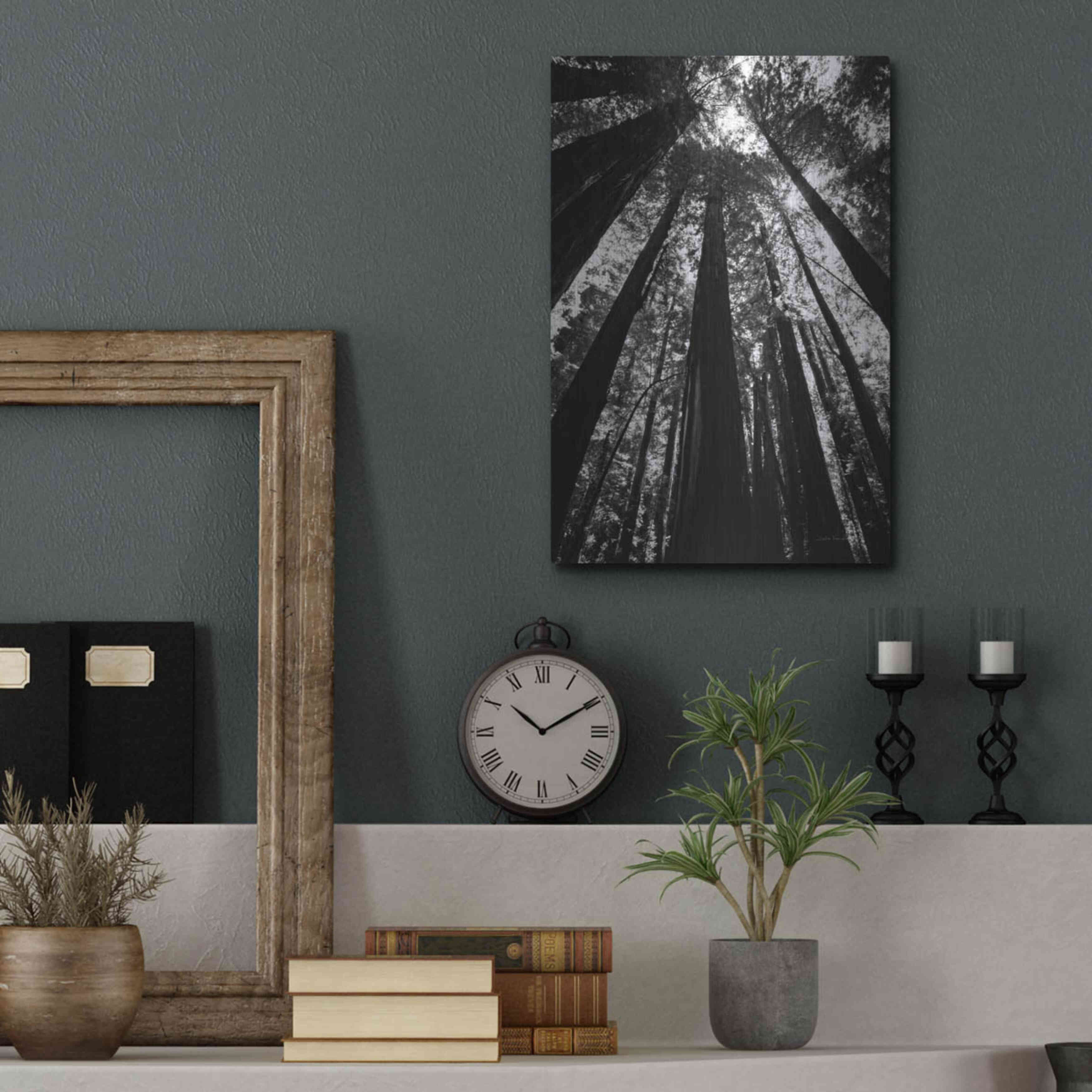 Millwood Pines " The Stand BW " by Debra Van Swearingen | Wayfair