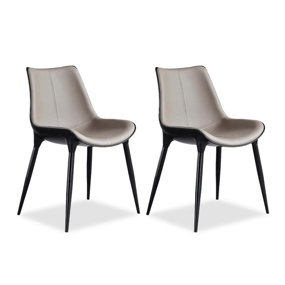 Mass Furni Solid back side Chair(Set of 2) | Wayfair