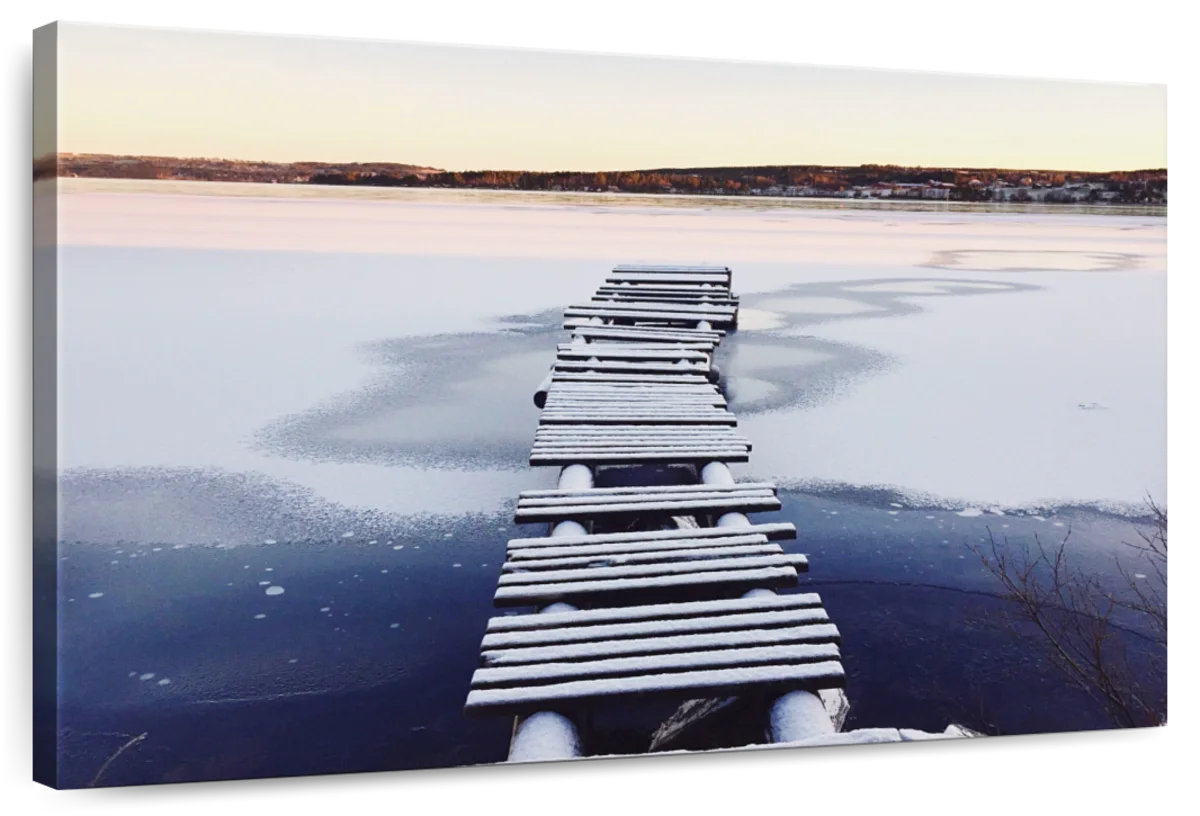 Elephant Stock Frozen River Jetty | Wayfair