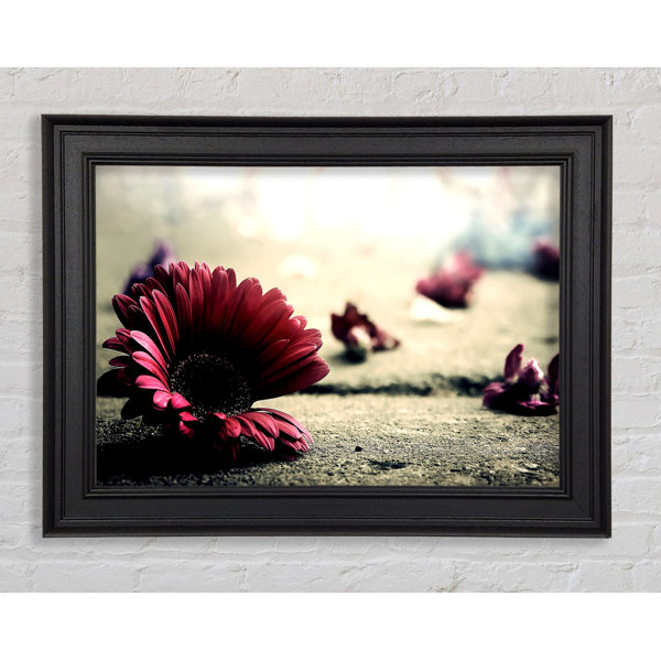 Brayden Studio Missing Petals - Single Picture Frame Print | Wayfair.co.uk
