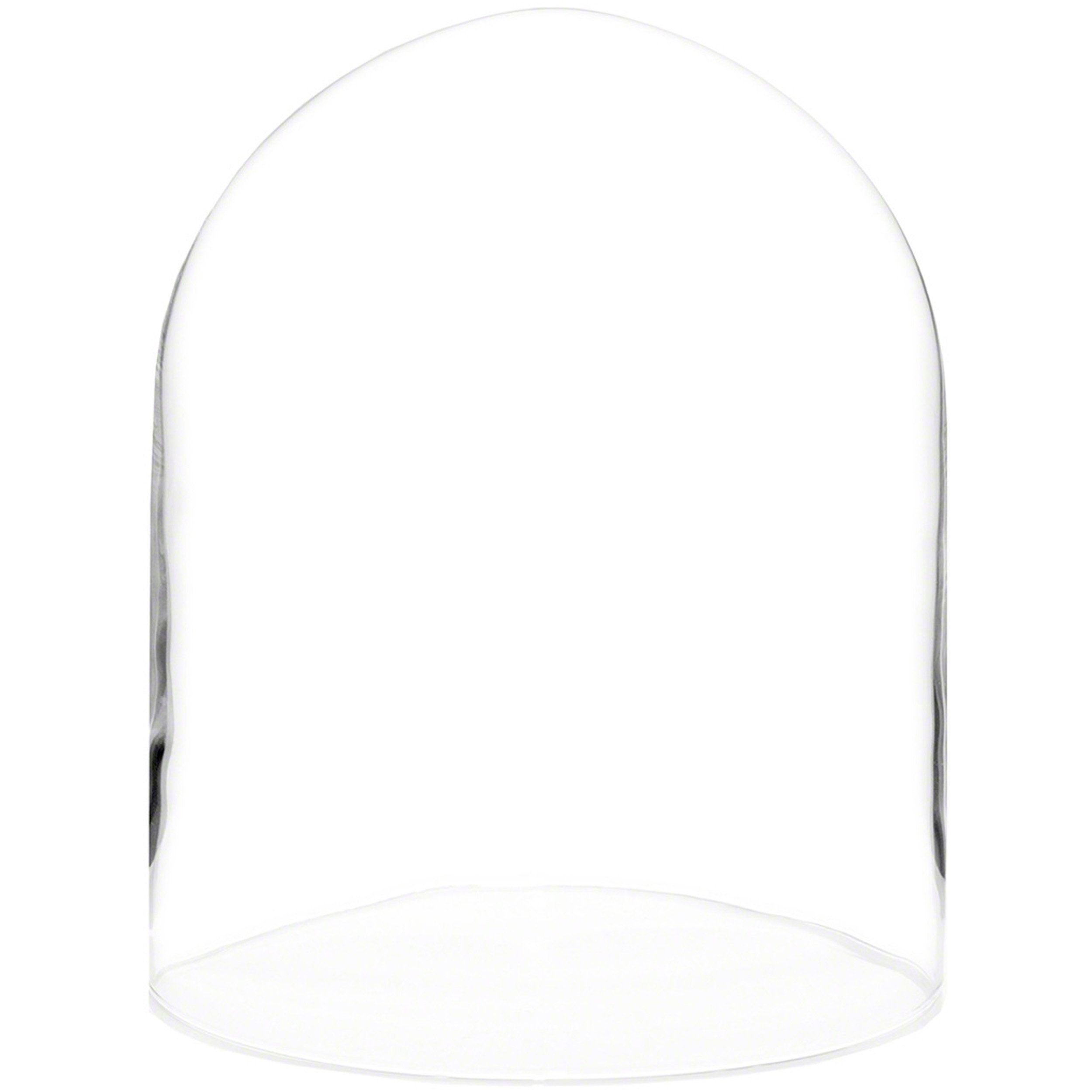 Latitude Run® Jenett Glass Display Dome Cloche & Reviews | Wayfair