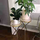 Mercer41 3 Piece Nesting Plant Stand "& Reviews" | Wayfair