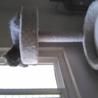 New Cat Condos 50" Carpeted Cat Tree & Reviews | Wayfair
