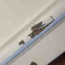 Laurel Foundry Modern Farmhouse® Panels Wall Décor & Reviews | Wayfair