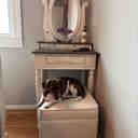 Kelly Clarkson Home Sydnee Vanity with Mirror & Reviews | Wayfair