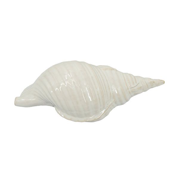 Beachcrest Home™ 12X6x4.5" Lifelike Ceramic Seashell Sculpture With ...